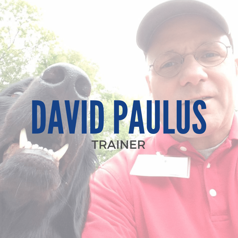 Meet the TTTK9 Training Team and find a certified trainer near you.