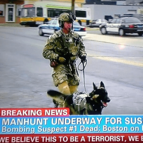 Mike Skinner - TTTK9